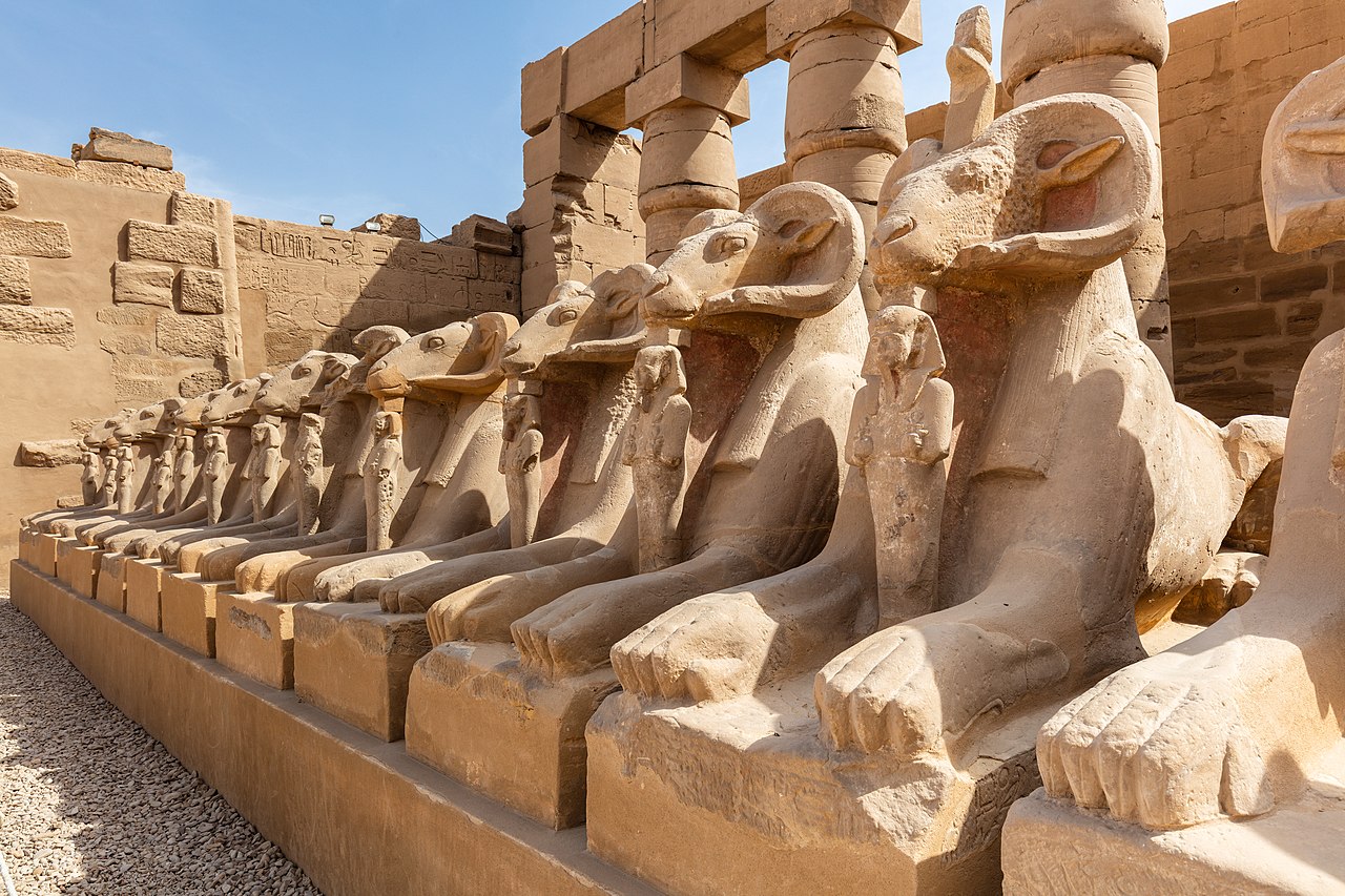 Premium Tours